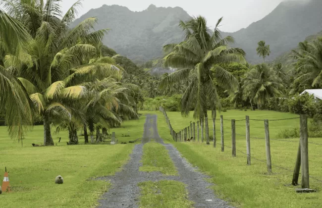 Cook Islands | Erasmus Generation Portal